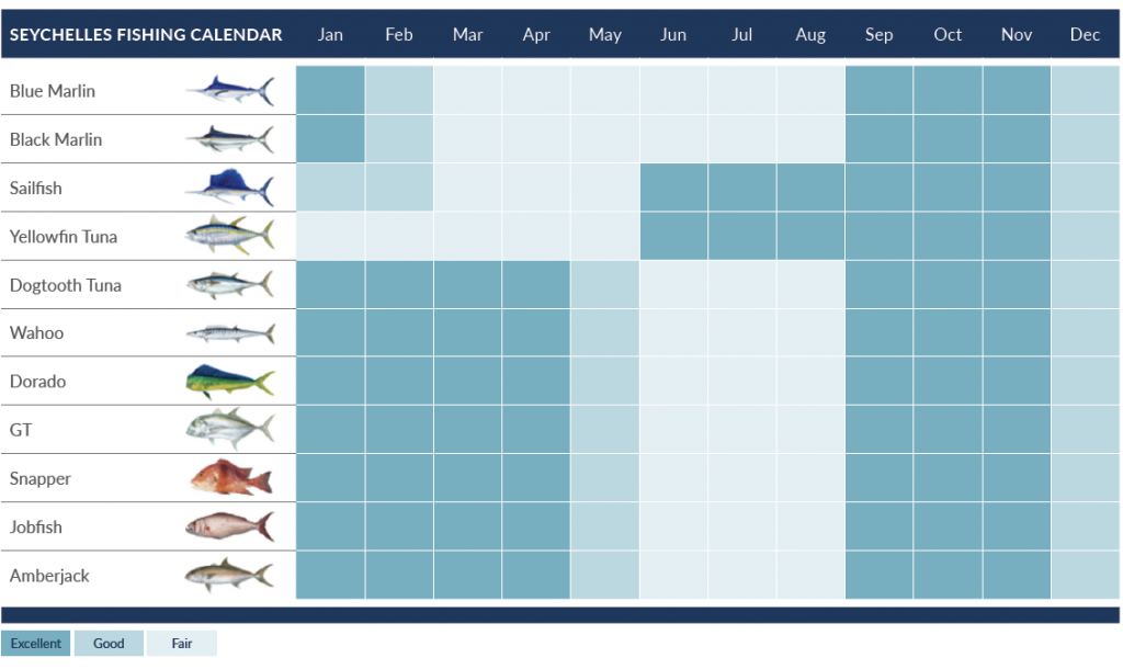 Fishing – Boundless Charters